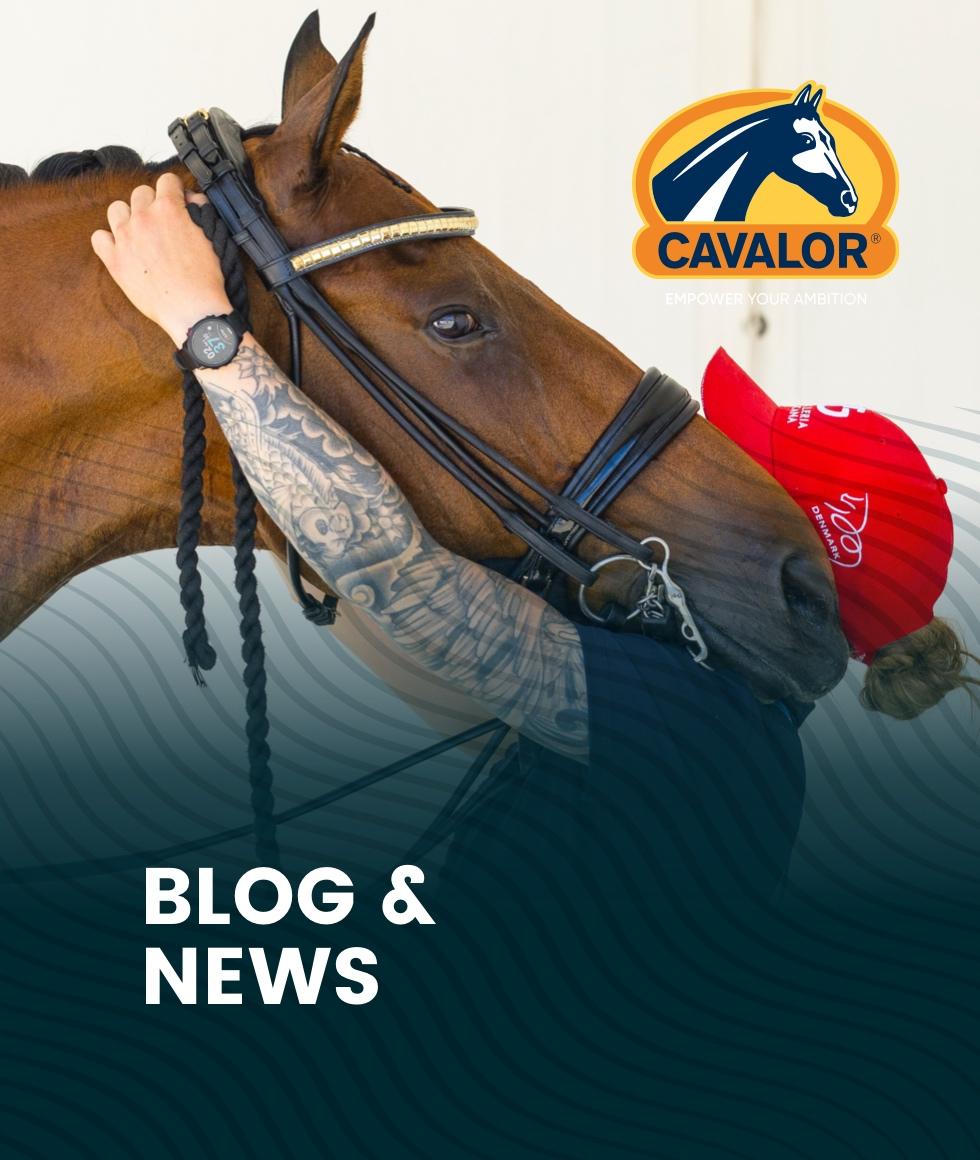 IGA | Updates to the FEI Veterinary Regulations 2025